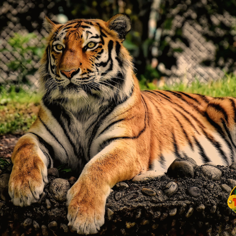 10 Things to Do in Chickasha, Oklahoma - I Love Chickasha